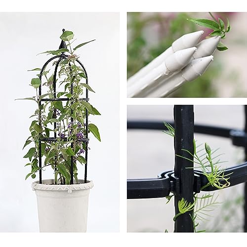 Durable Home Climbing Plant Support Black 20 X 60cm White Natural U-Hoops Durble External Rose Trellis Plants Stand