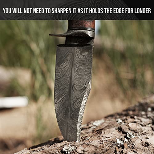 BIGCAT ROAR Handmade Damascus Hunting Knife - Bushcraft Fixed Blade Hunting Knife with Sheath and Walnut Wood Handle - 10″ EDC Skinning Knife - Bladesmith Pride