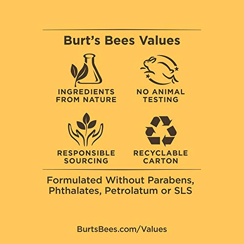 Burt's Bees Color Nurture Cream Eye Shadow With Buildable Color To Achieve Desired Intensity, Caramel Buttercream 0.25 Ounce