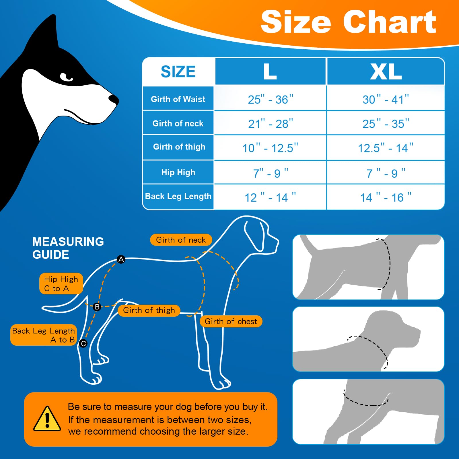 CHAMIN Dog Leg Braces for Hind Leg, Dog Acl Knee Brace Support for Cruciate Ligament Injury,Osteoarthritis, Luxating Patella, Muscle Sore,et(Extra Large)