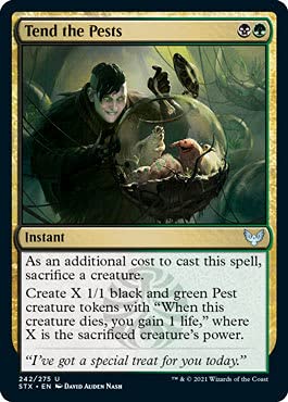 Magic: the Gathering - Tend The Pests (242) - Strixhaven: School of Mages