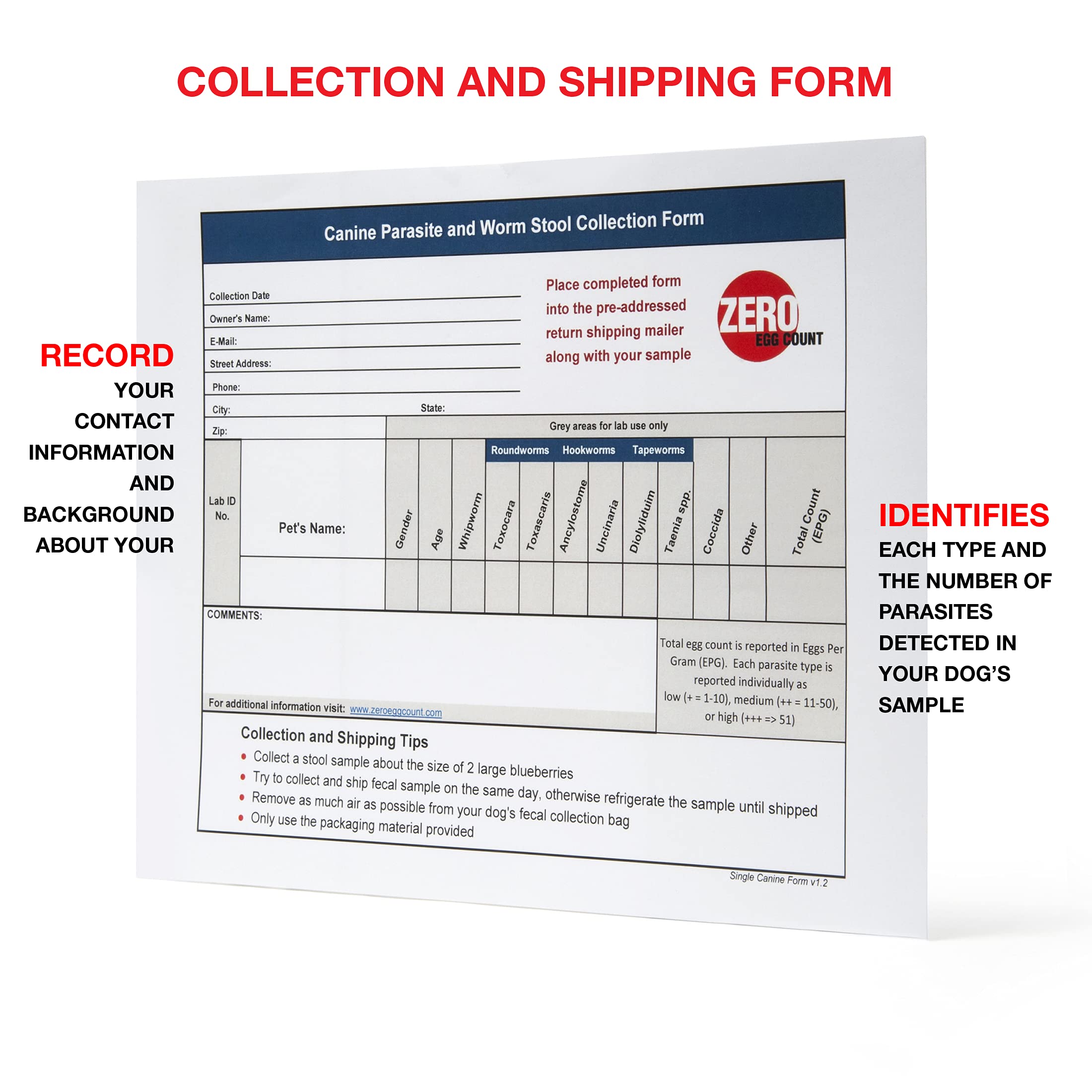 Dog Parasite Worm Mail-in Stool Test Kit and Laboratory Services for Detecting Harmful Internal Parasites and Worms in Dogs and Evaluating Your Dog's Worming/Deworming Programs.
