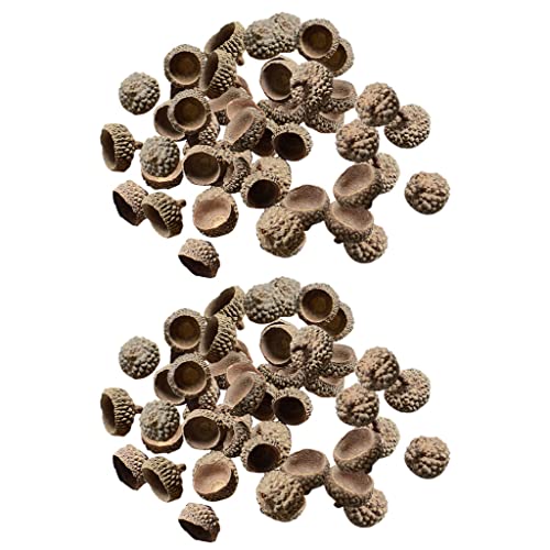 DYNWAVE 200Pcs Natural Acorns Caps Decorative for Craft Vase Fillers Home Garland Autumn Embellishments Ornaments