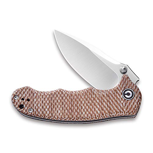CIVIVI Hooligan Small Pocket Knife - Folding Knife with 2.98β D2 Blade Micarta Handles,Hunting Outdoor Knife with Reversible Clip for men C913C (Snakeskin)