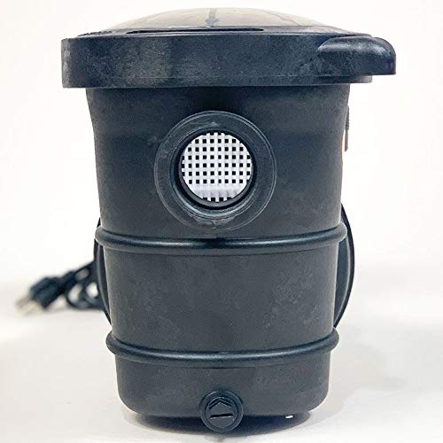 Doheny's Harris ProForce 1 HP Above Ground Swimming Pool Pump, 115V, Single Speed