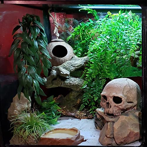 kathson Reptile Habitat Skull Decoration Bearded Dragon Tank Accessories Resin Human Skulls Hide Cave Hanging Vines Plant for Lizards Tortoise Snake Chameleon Spider Reptiles Amphibians(4 PCS)