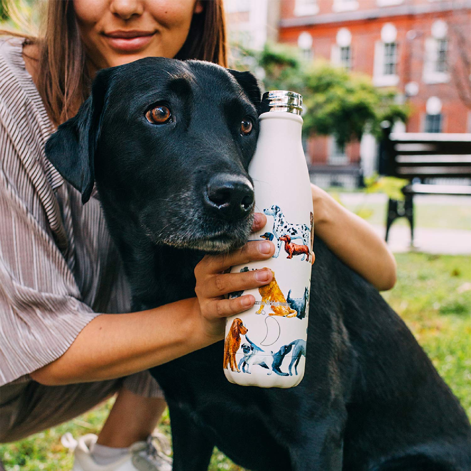 Chilly's Water Bottle | Stainless Steel and Reusable | Leak Proof, Sweat Free | Stainless Steel | 750ml