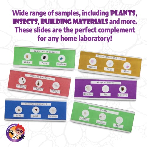 Prepared Microscope Slide Kit (72 Specimens) for Basic to Intermediate Biological Education - Shatterproof Microscope Slides for Kids w/ 72 Unique Specimens of Plants, Algae, Pollen & More