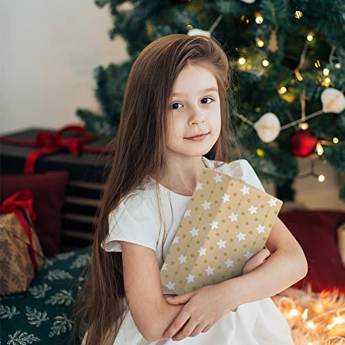 Elegant Gift Birthday Princess Wrapping Paper For Mom Dad Boys Girls Friends, 20x28" Per Sheet(6 sheets:23 sq.ft.ttl.) in 3 Designs Include Classic Patterns Like Polka Dots Crown Gift Package Stars For Wedding Bridal Shower Engagements Birthday Christmas