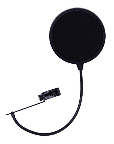Audio-Technica AT4040 Cardioid Condenser Microphone Bundle with Boom Stand, Pop Filter, XLR Cable, and Austin Bazaar Polishing Cloth