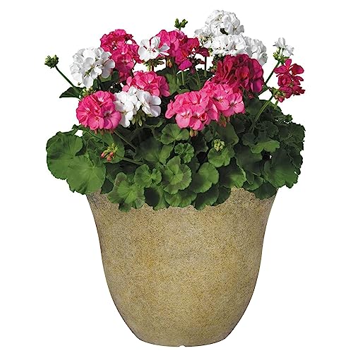 Classic Home and Garden Honeysuckle Resin Flower Pot Planter, Fossil Stone, 15"