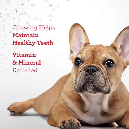 DreamBone Holiday Favorites, 4 Count, Made with Real Chicken, Rawhide-Free Chews for Dogs