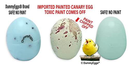 DummyEggs Canary Dummy Eggs Stop Laying! 7 Non-Toxic Solid Plastic Fake Eggs. 11/16" x 1/2" Speckled Blue-Green Plastic, Not Painted. Made in USA Brand