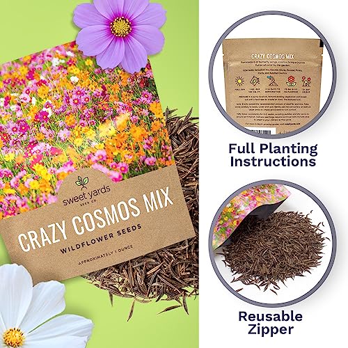 Cosmos Seeds Wildflower Mixture - Bulk 1 Ounce Packet - Over 5,000 Seeds - Pink, Yellow, Orange, Red, Purple and White Mixed Species!