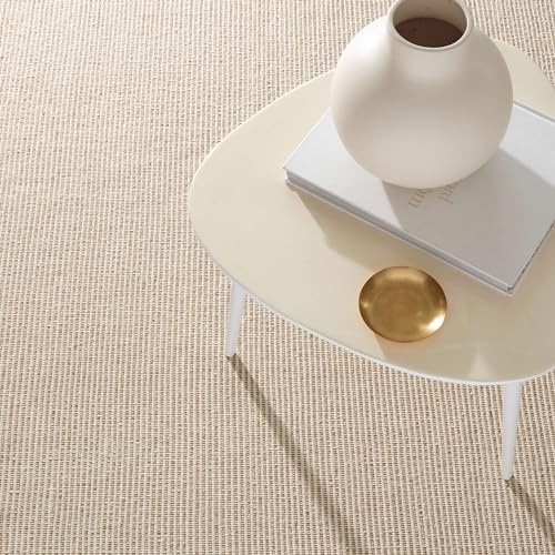 Dash and Albert Haverhill Cotton Area Rug - 8' x 10' Neutral Solid Handwoven Accent Rug - Durable, High Traffic Areas Hallway, Living Room, Stairs, Bedroom
