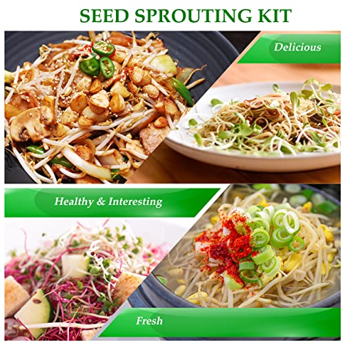 EOUOBOMO Sprouting Kit,Sprouting Jar Kit,Sprouts Growing Kit w.Wide Mouth Mason Jar,316 Screen Lid, Stand,Tray and Blackout Sleeves,Seed Sprouting Kit for Growing Broccoli, Alfalfa