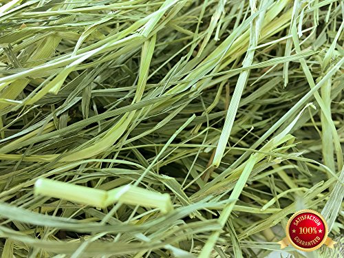 Rabbit Hole Hay Ultra Premium, Hand Packed Medium Timothy Hay for Your Small Pet Rabbit, Chinchilla, or Guinea Pig (20lb)