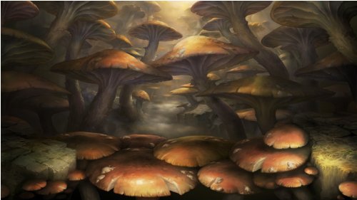 Dragon's Crown - PlayStation Vita