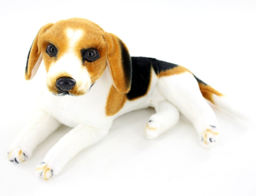 Jesonn Realistic Stuffed Animals Dog Plush Toys Beagle,12" or 30CM,1PC