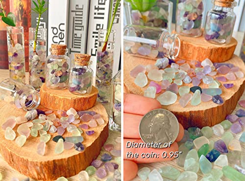 Fluorite Crystals Polished Gravel Aquarium Tumbled Stones Chips Stone Crushed Crystal Quartz Pieces Irregular Gem Rocks Home Decoration Tank Succulent Plants Vase Filler Bottom Ornament 0.55lbs