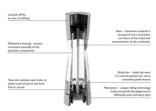 Cole & Mason H59408G Derwent Salt and Pepper Mills | Gourmet Precision+ | Stainless Steel/Acrylic | 190mm | Gift Set | Includes 2 x Salt and Pepper Grinders | Lifetime Mechanism Guarantee