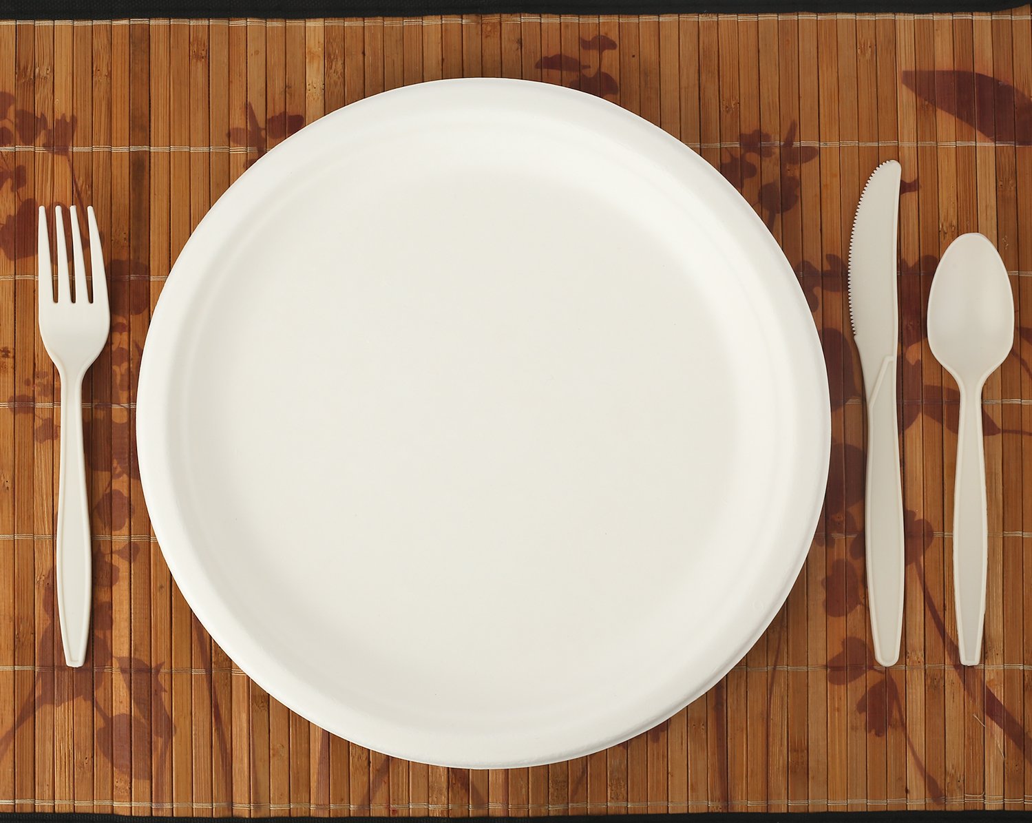 brheez 10 in. Disposable Plates Paper Plates Alternative Compostable Plates Heavy Duty [Pack of 60] Eco-Friendly 100% Natural Sugarcane Bagasse Fiber Biodegradable