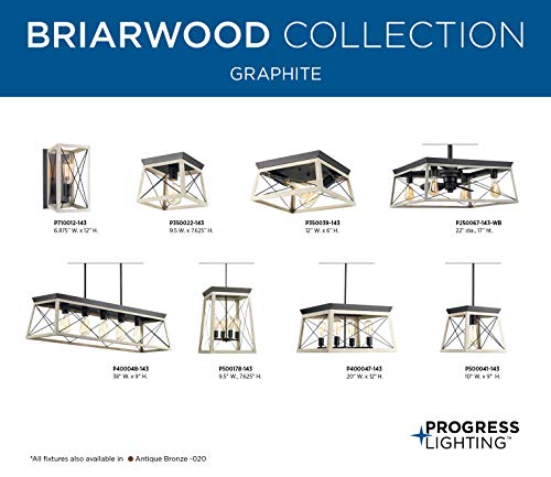 Briarwood Collection Whitewashed One-Light Farmhouse Flush Mount Ceiling Light