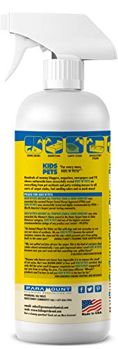 Kids 'N' Pets β Instant All-Purpose Stain & Odor Remover β 27.05 oz - (800 ml) β Pack of 2 - Proprietary Formula Permanently Eliminates Tough Stains & Odors β Even Urine Odors