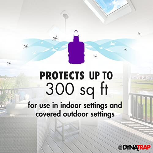 DynaTrap DT150 Indoor Mosquito & Flying Insect Trap β Kills Mosquitoes, Flies, Moths, Gnats, & Other Flying Insects β Protects up to 300 Sq Ft