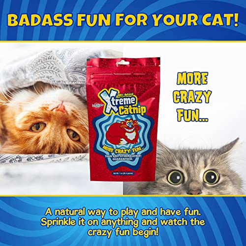 Xtreme Catnip Leaf, 1 oz. β 100% Natural Organically Grown, Super Concentrated Catnip Leaves β Non-Addictive, Fun Cat Treat β Use on Toys, Scratching Posts, Food and More