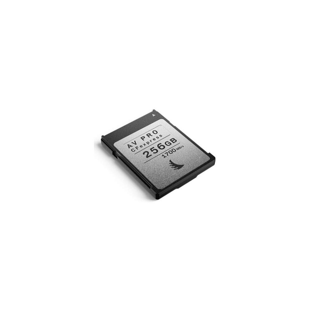 AV PRO CFexpress Type B Card | 256 GB