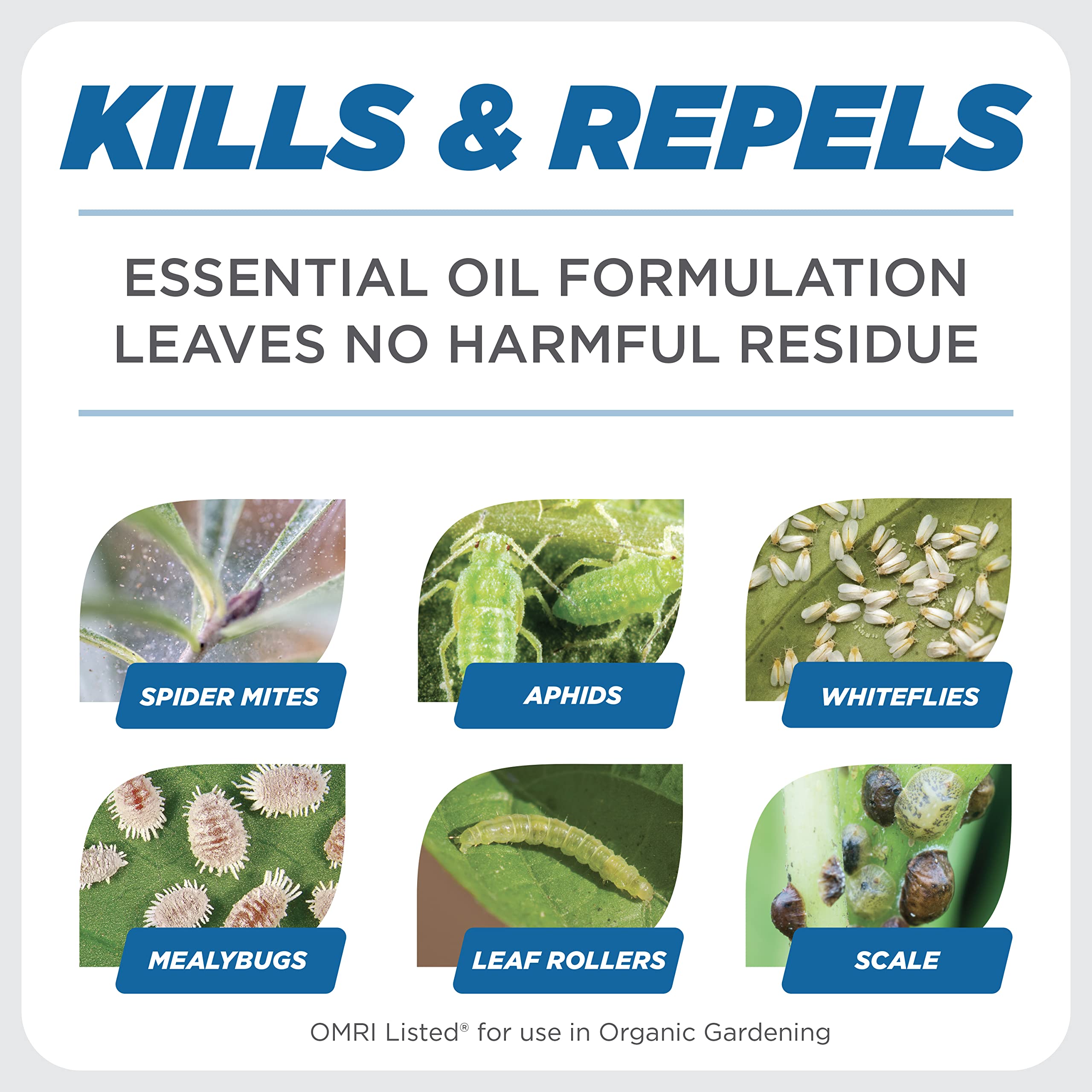 Earth's Ally Insect Control for Plants | Safe Outdoor & Indoor Plant Insecticide, Spider Mite, Aphid & Mealybug Killer - Effective Spray for Organic Garden & Household Plants, Ready-to-Use, 24oz