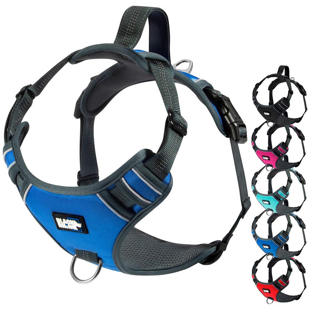Black Rhino - The Comfort Dog Harness with Mesh Padded Vest for Small - Large Breeds | Adjustable | Reflective | 2 Leash Attachments on Chest & Back - Neoprene Padded Training Handle (Large, Aqua/Gr)