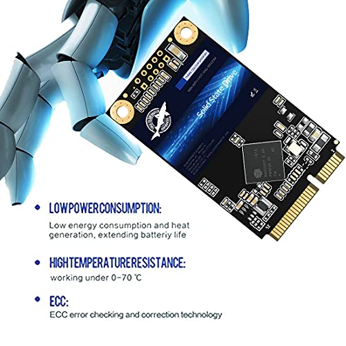 Dogfish mSATA SSD 250GB 3D NAND TLC SATA III 6 Gb/s, mSATA (30x50.9mm) Internal Solid State Drive - Compatible with Desktop PC Laptop - (MSATA 250GB)