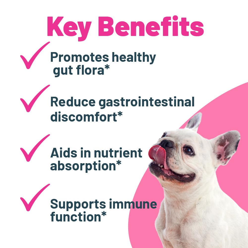 Buddy Biotics Probiotic + Prebiotic for Dogs- Gut Flora Health, Digestive and Immune Health, Diarrhea and Bowel Support β 5 Billion CFU per Scoop