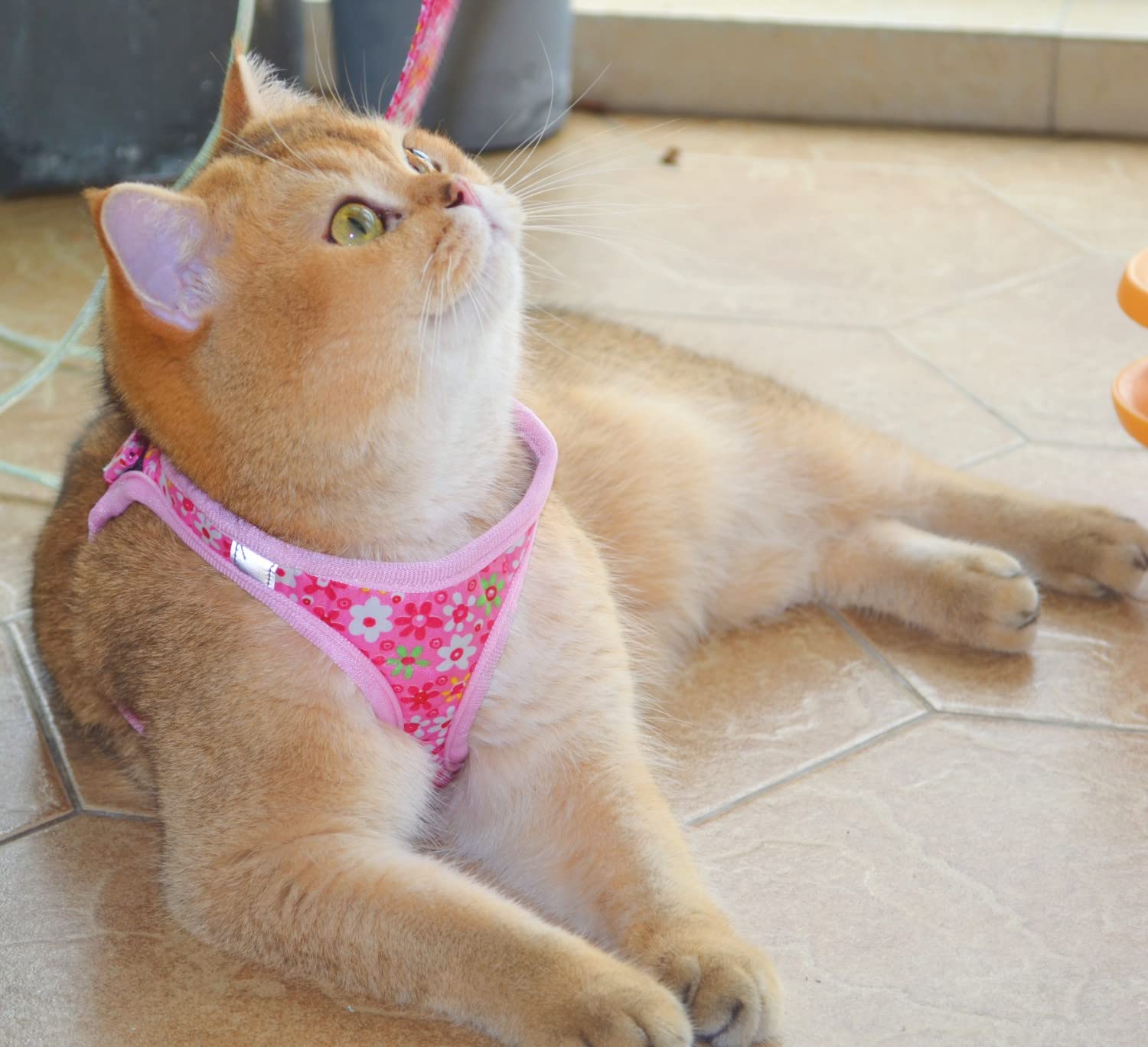 Moonpet Step in Air Dog Harness Leash Set- All Weather Reflective No-Pull Floral Pattern Padded Mesh Vest Harness for Cats Puppy Extra-Small Small Medium Large Dogs - Pink Flower - XXS