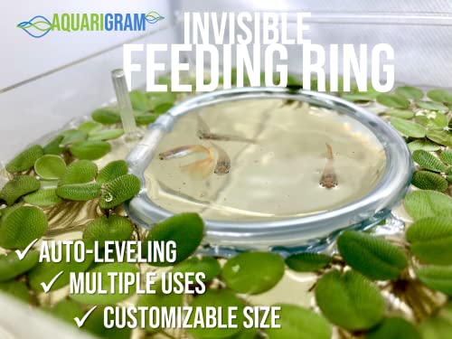 Invisible Feeding Ring (Customizable and Auto-Leveling) Food Portal for Floating Plant Aquariums and Fish Tanks (Standard 2.5" Feeding Ring)