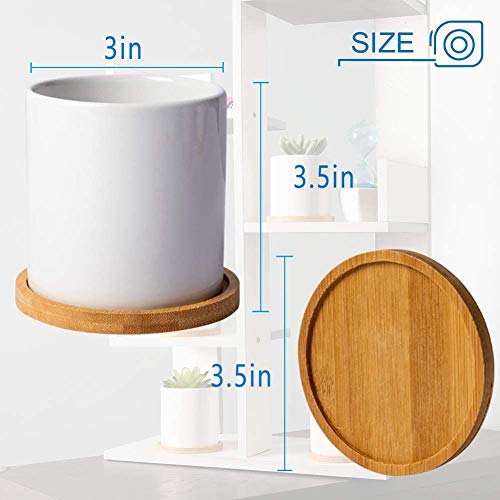 EFISPSS Succulent Plant Pots, 3.2 inch Ceramic Flower Pot with Bamboo Tray, Small Cactus Planter Pots with Drainage Holes, 8 Pack (Plants NOT Included) (White)