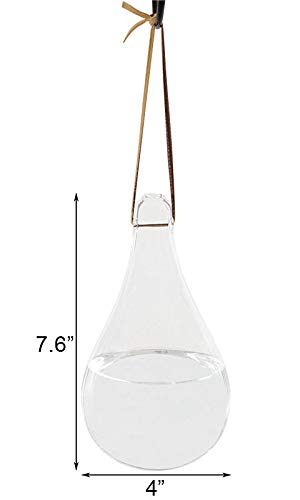 Esschert Design Glass Fly Deterrent