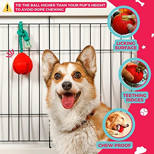 FOSSA Interactive Dog Toys, Crate Training Aids for Puppies, Puzzle Treat Dispenser with Rope