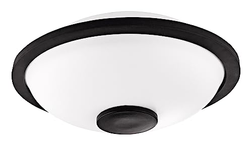 Nino Percussion Mini Melody Steel Tongue Drum with Mallets — for All Ages — Easily Create Songs, for Classroom Music, 2-Year Warranty (NINO980WH)