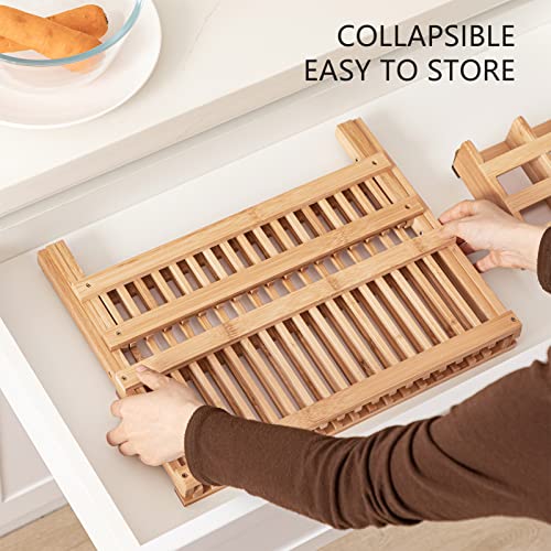 HBlife Bamboo Folding 2-Tier Collapsible Drainer Dish Drying Rack with Utensils Flatware Holder and Dish Plate Bowl Cup Book Pot Lid Cutting Board Drying Rack Stand