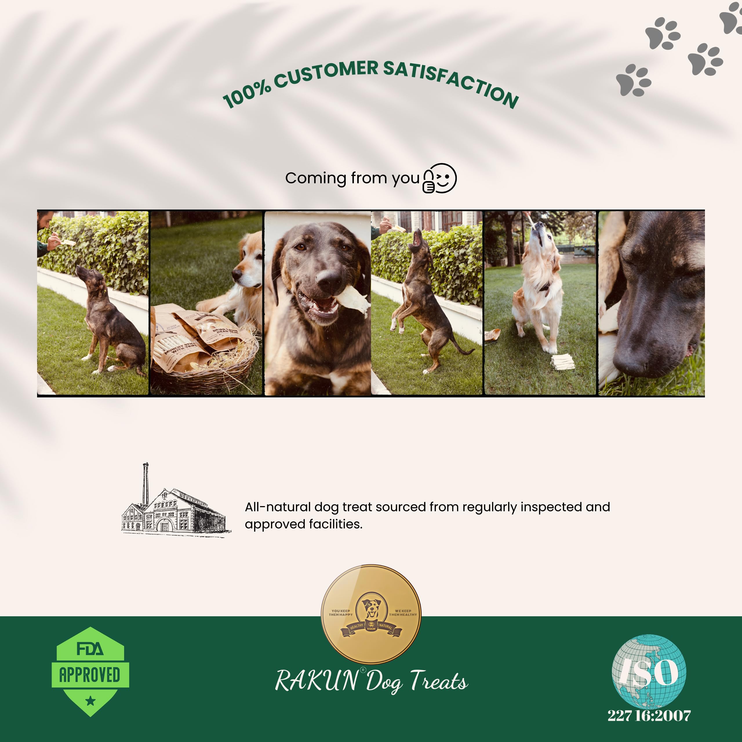 RAKUN Dried Beef Ears - 100% Natural Cow Ear Dog Chews - for Medium and Large Breed Dogs - Aggressive chewers - Pack of 1(6 Pieces)