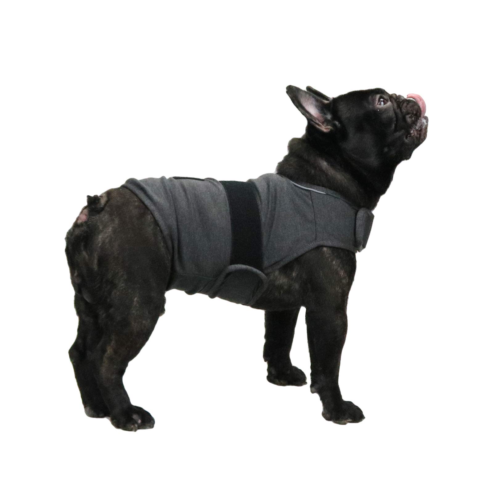 KittyStar Breathable Dog Shirt for Thunderstorm, Dog Anxiety Vest Jacket Warp,Puppy Calming Coat Anxiety Relief (M, Grey)