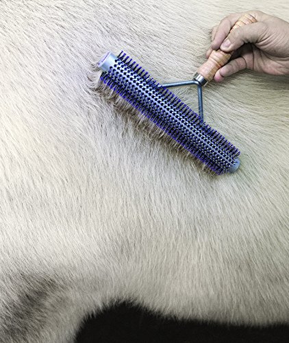 Weaver Leather Livestock Wide Range Brush ,69-6013, Silver/Purple