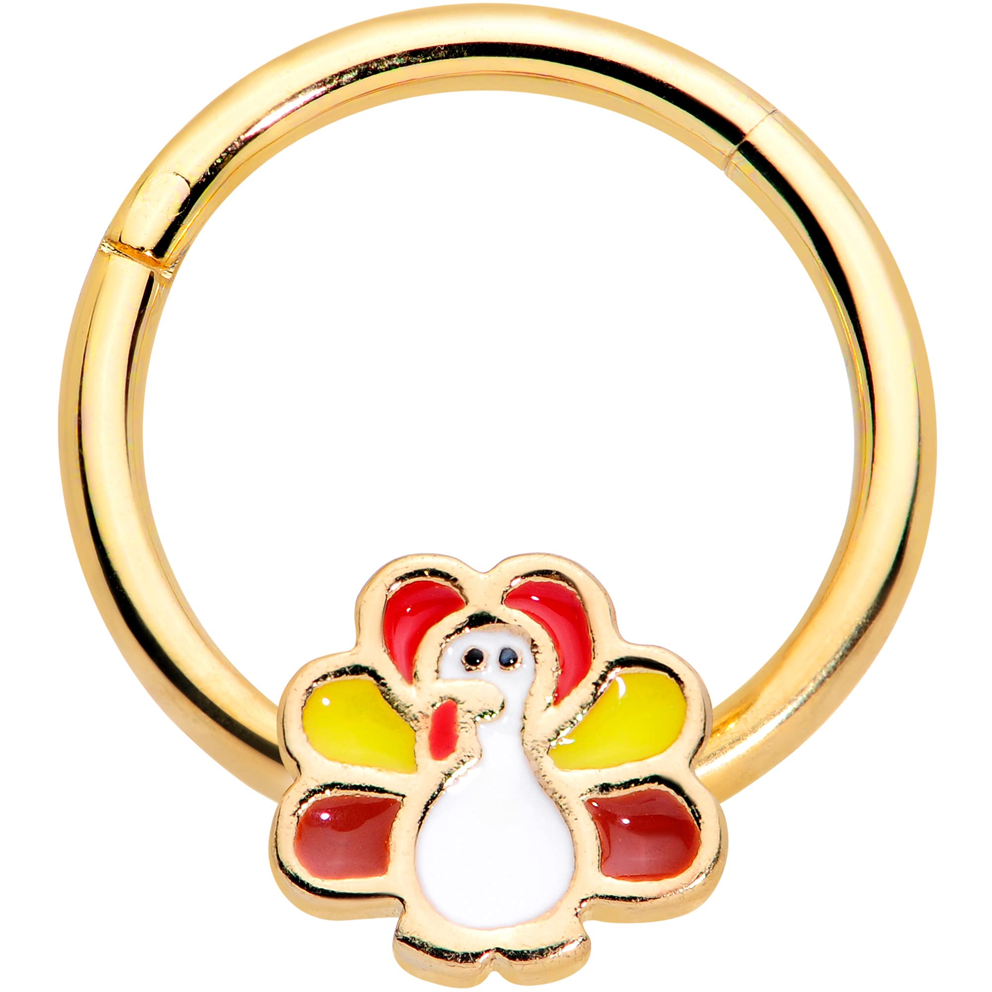 Body Candy Womens 16G PVD Steel Hinged Segment Ring Seamless Cartilage Nipple Ring Tom Turkey Nose Hoop 3/8"