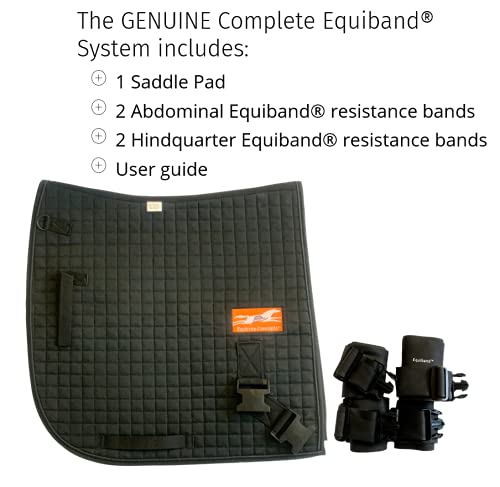Equiband Equicore Concepts Complete System, Large Size, Oversize Horse