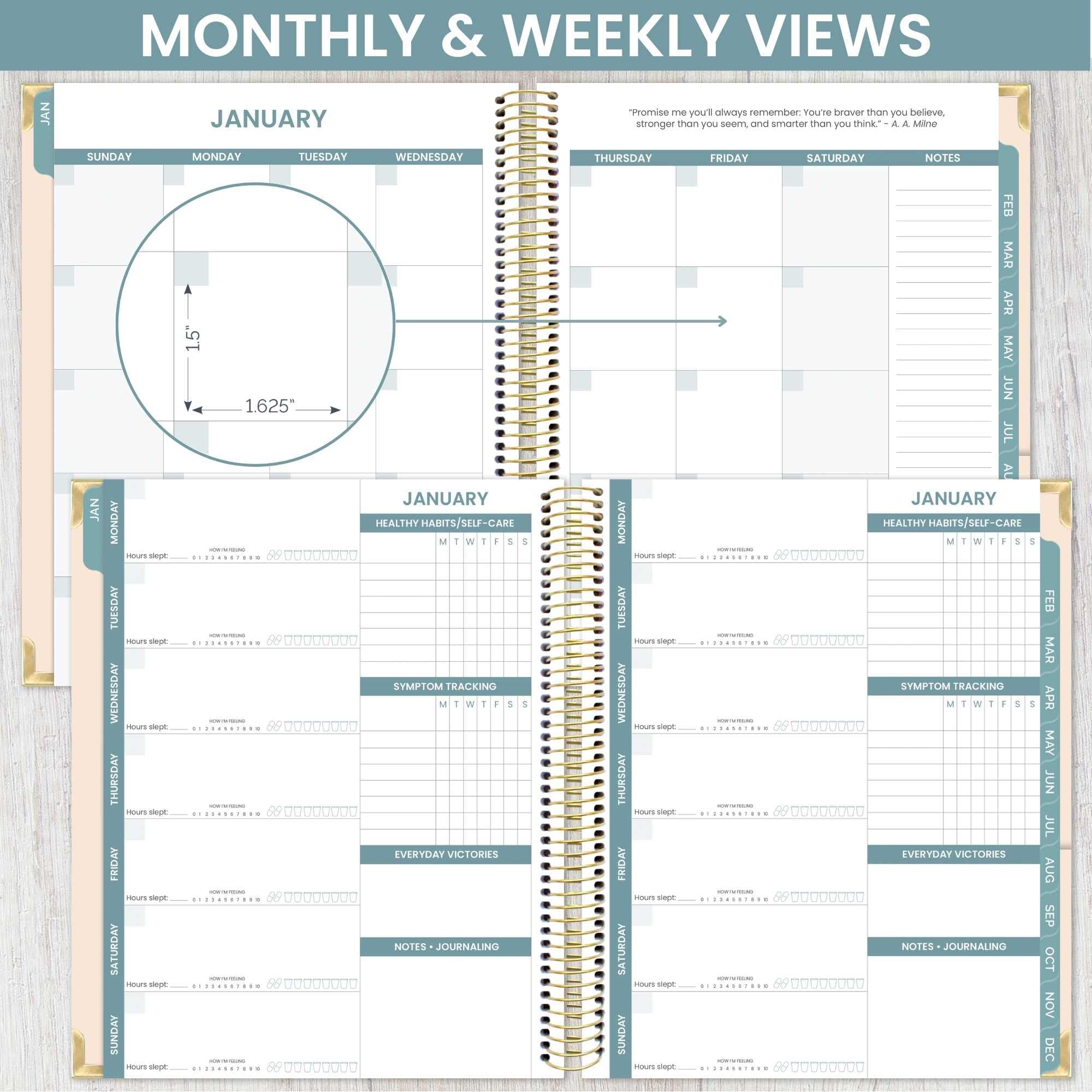 bloom daily planners Undated Chronic Illness Planner & Medical Journal - 12 Month Pain & Symptom Tracker, Mood & Medication Log, Appointment Organizer (7β x 9β)- You Are Stronger Than You Think