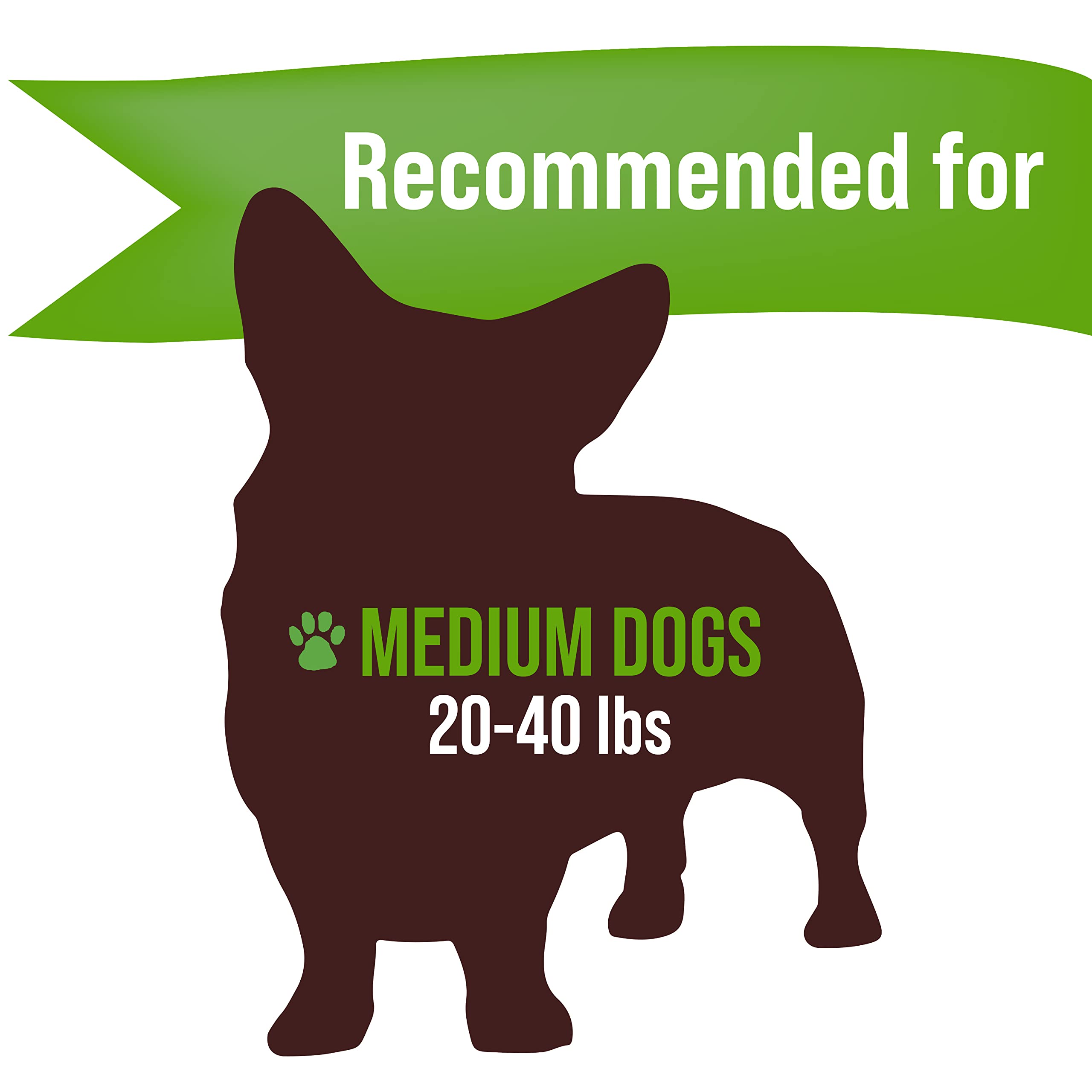 Buck Bone Organics Elk Antler Split Dog Chew (Medium)