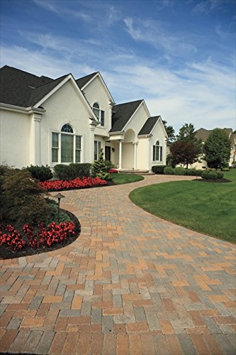 Dimex 1262-60C Paver Edging, 60-Feet, Black